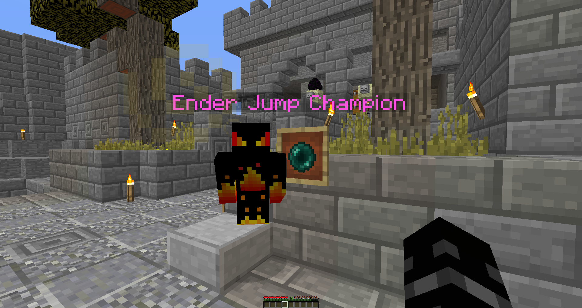 250 subs!!! Drop Party Announced + Ender Jump Winner! » AddstarMC